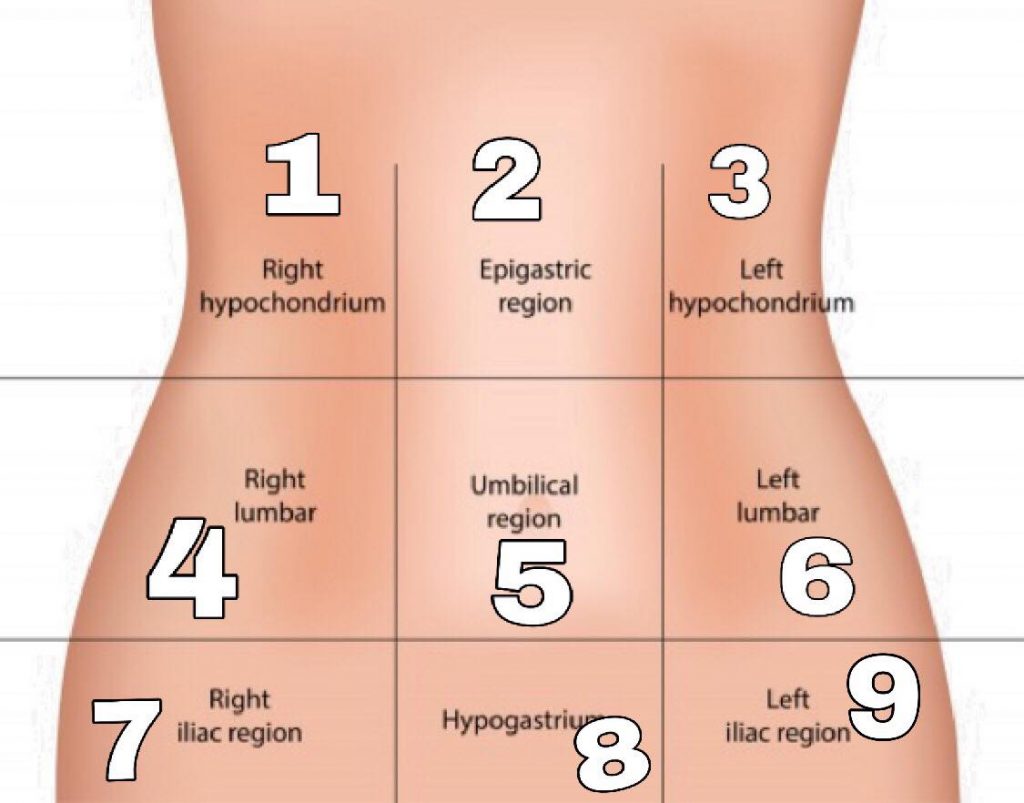 Harta e dhimbjeve të barkut/ Identifikoni zonën dhe zbuloni shkakun ...